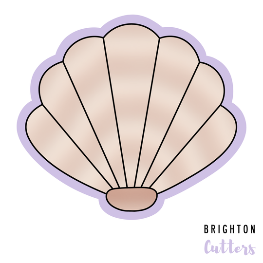 Scallop Shell | Brighton Cutters LLC